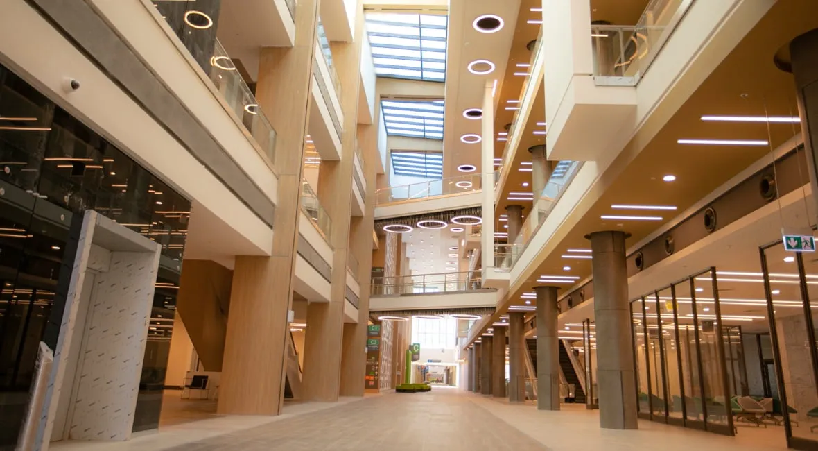 Investment - Rönesans