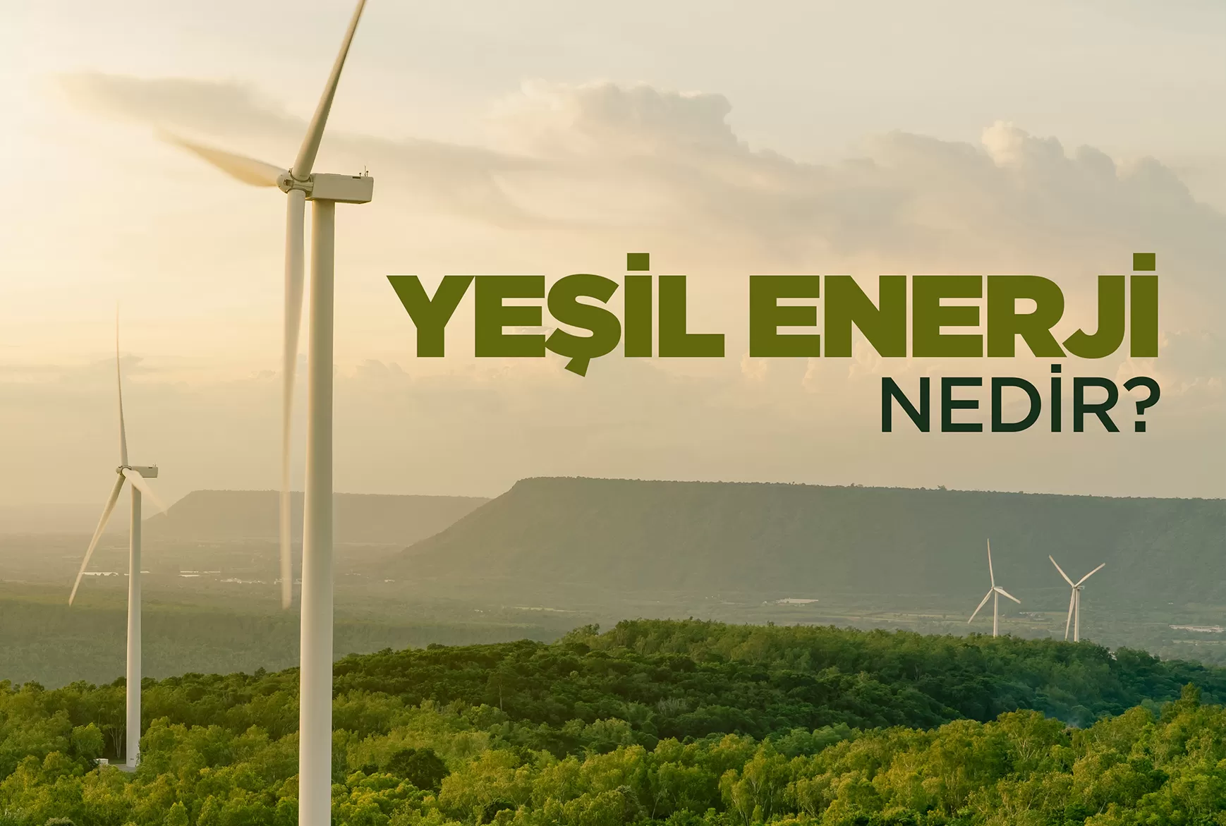 Yeşil Enerji Nedir? Yeşil Enerji Türleri ve Kullanım Alanları ...